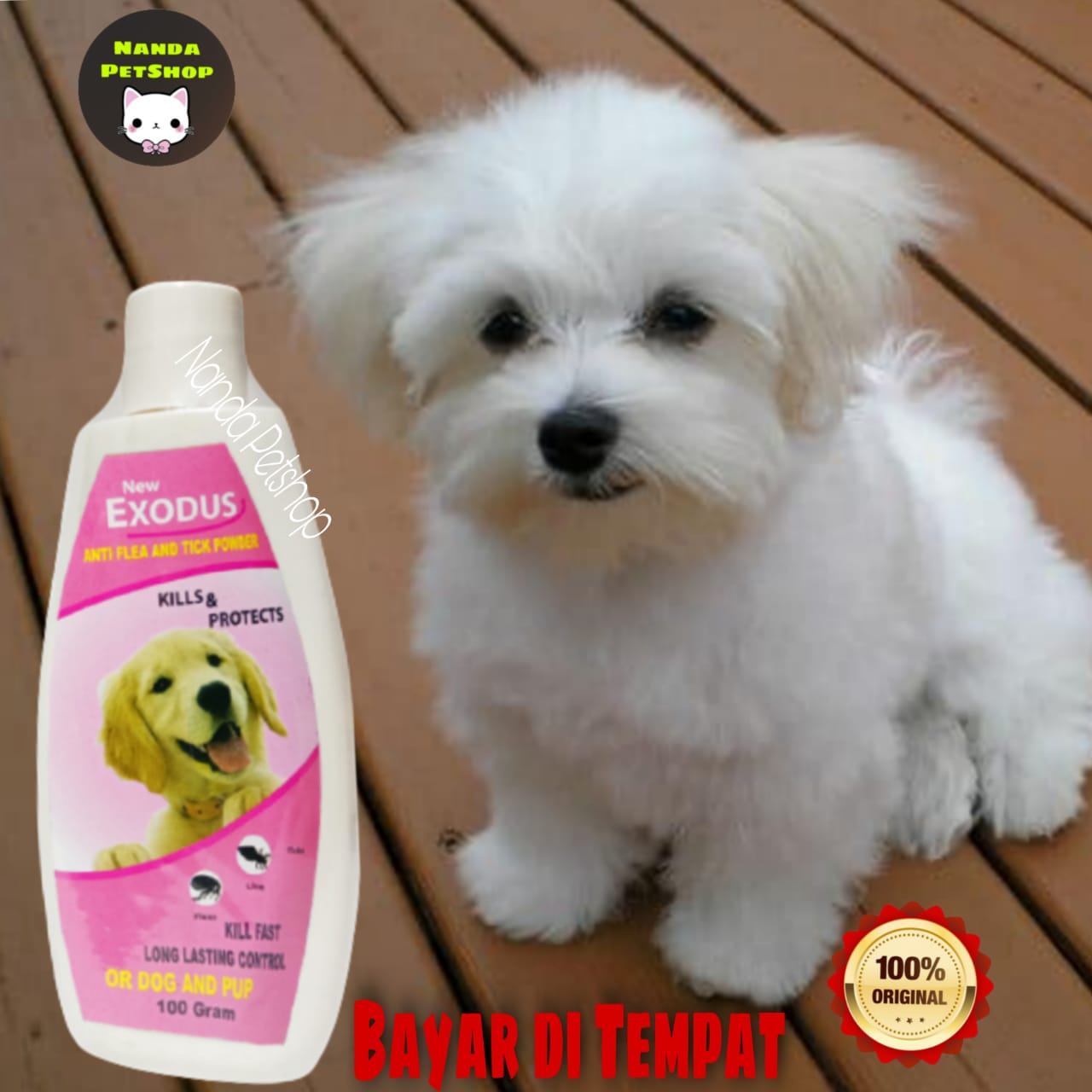 Bedak Anjing menghilangkan dan mengusir kutu, caplak dan pinjal pada ...