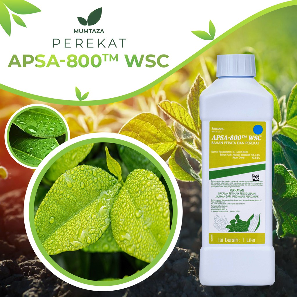 APSA-800 WSC bahan perata dan perekat 1 liter | Lazada Indonesia