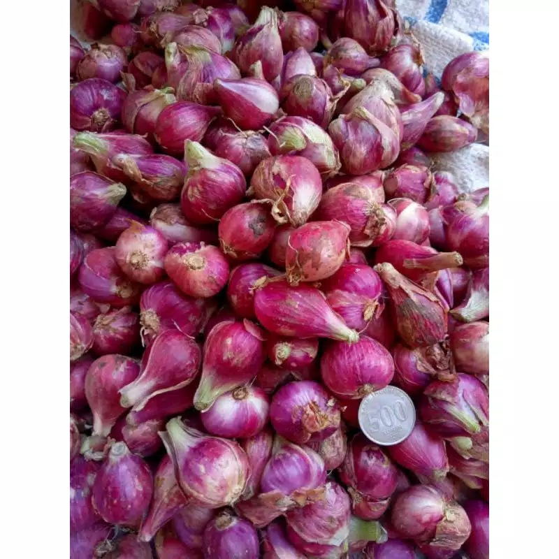 Bawang Merah murah 250gram seperempat Bumbu Masak Samara Bawang berem ...