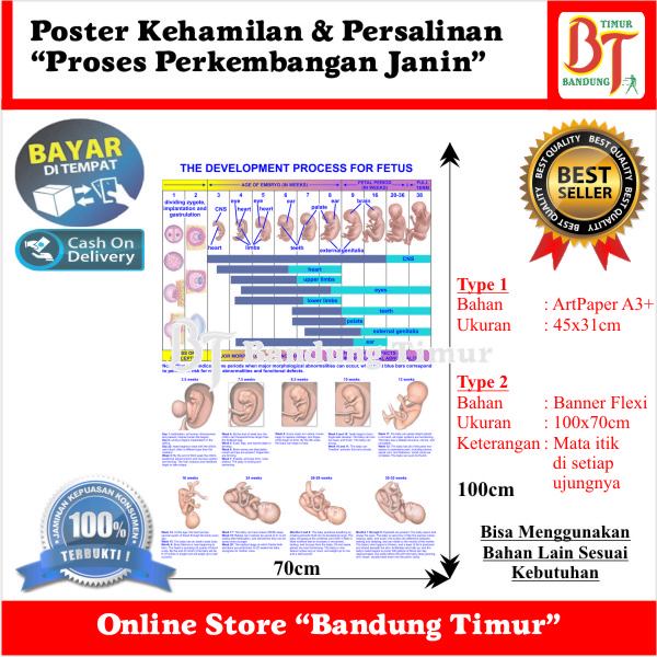 POSTER KEHAMILAN DAN PERSALINAN PROSES PERKEMBANGAN JANIN | Lazada ...