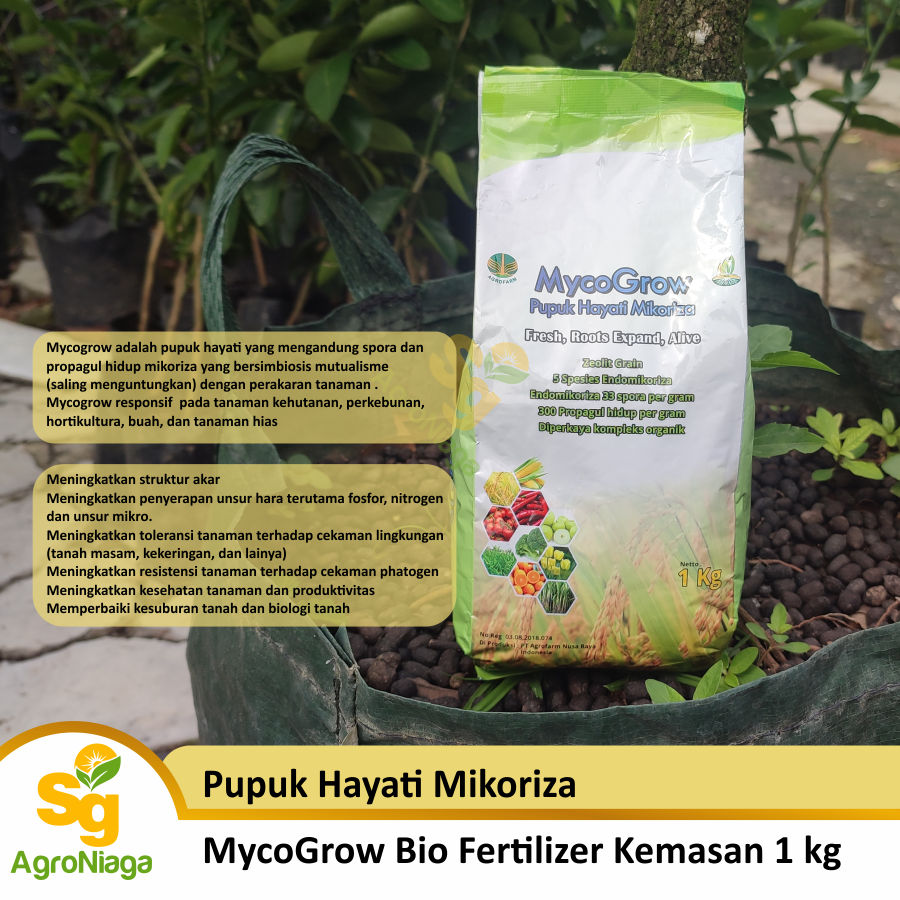 MycoGrow Bio Fertilizer Mikoriza Pupuk Hayati Kemasan 1 kg | Lazada ...