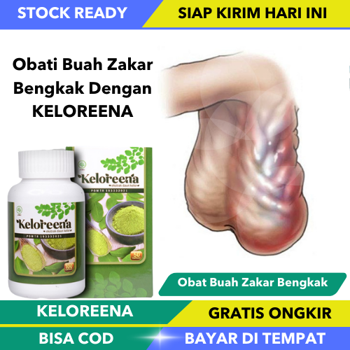 Obat Buah Zakar Bengkak Sebelah, Obat Testis Bengkak, Obat Buah Zakar ... Obat Buah Zakar Bengkak Sebelah, Obat Testis Bengkak, Obat Buah Zakar ...