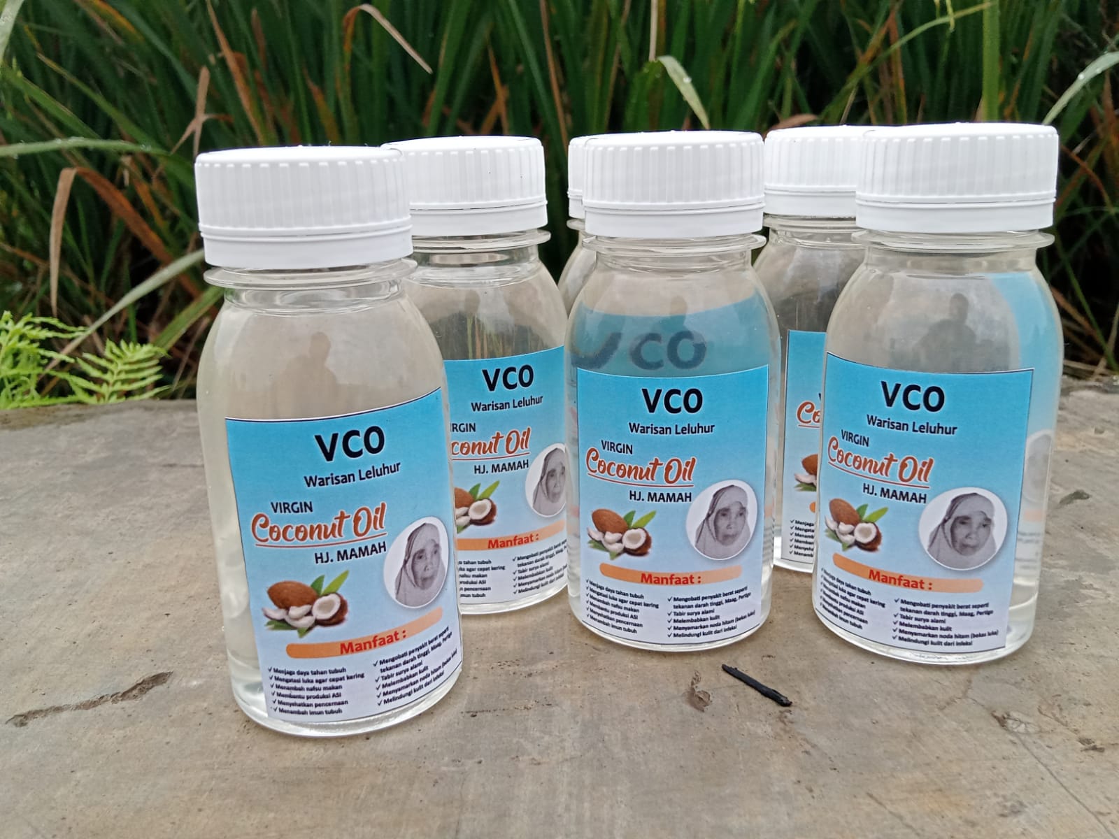 VCO Virgin Coconut Oil Minyak Kelapa Murni Obat Jamur Kucing Vco Oil ...
