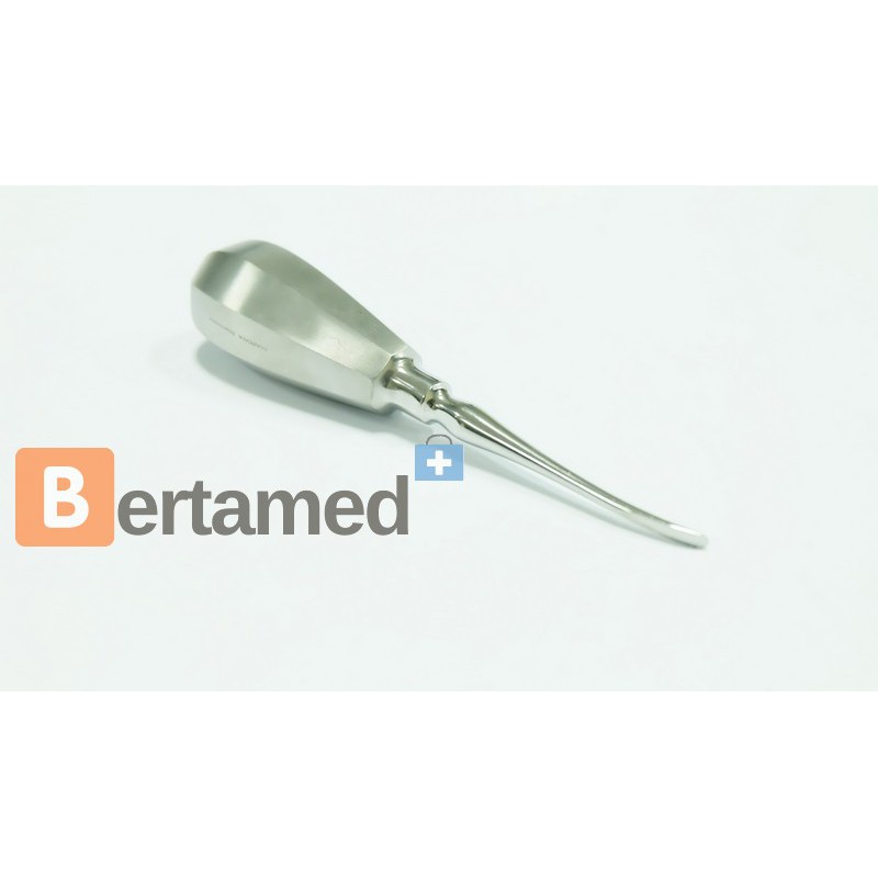 Bein Root Elevator Curved 2 mm | Lazada Indonesia