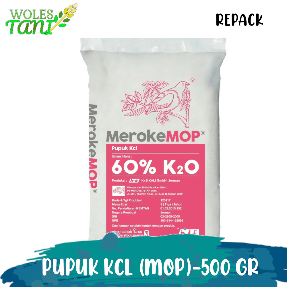 Pupuk MOP 500 Gram Pupuk KCL | Lazada Indonesia