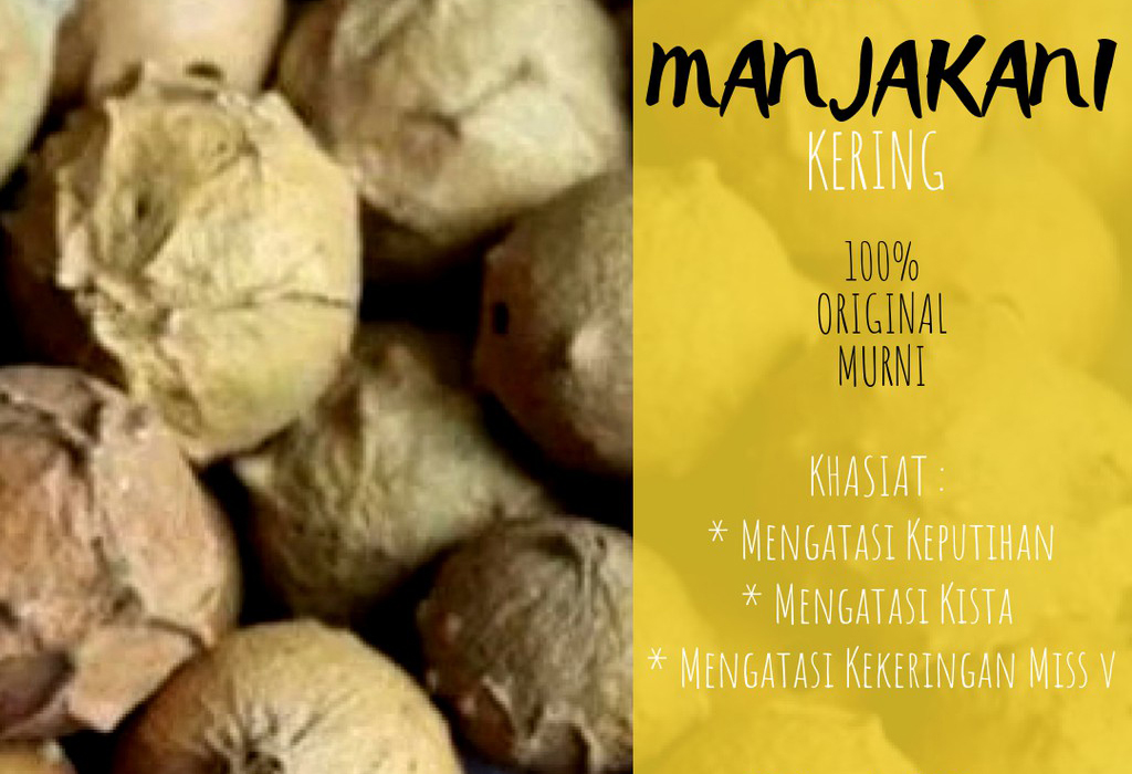 Buah Manjakani 1 kg / 1.000 gram | Lazada Indonesia