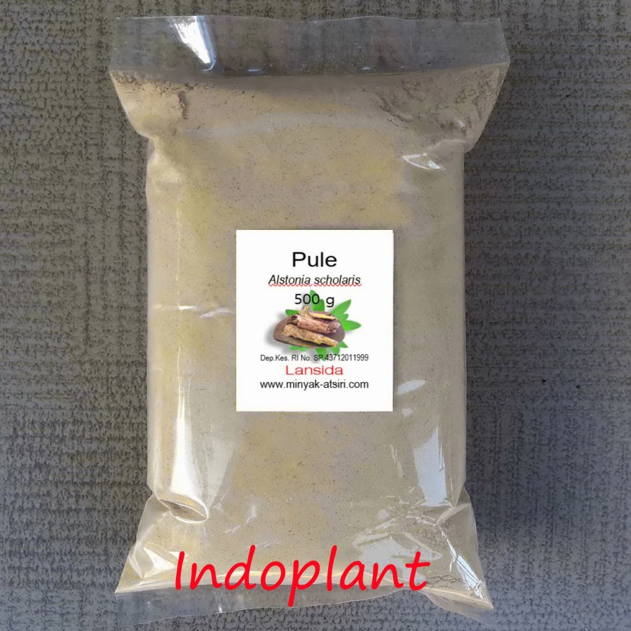 obat tradisional Bubuk Pule 500 g Serbuk Kulit Batang Kayu Babakan ...