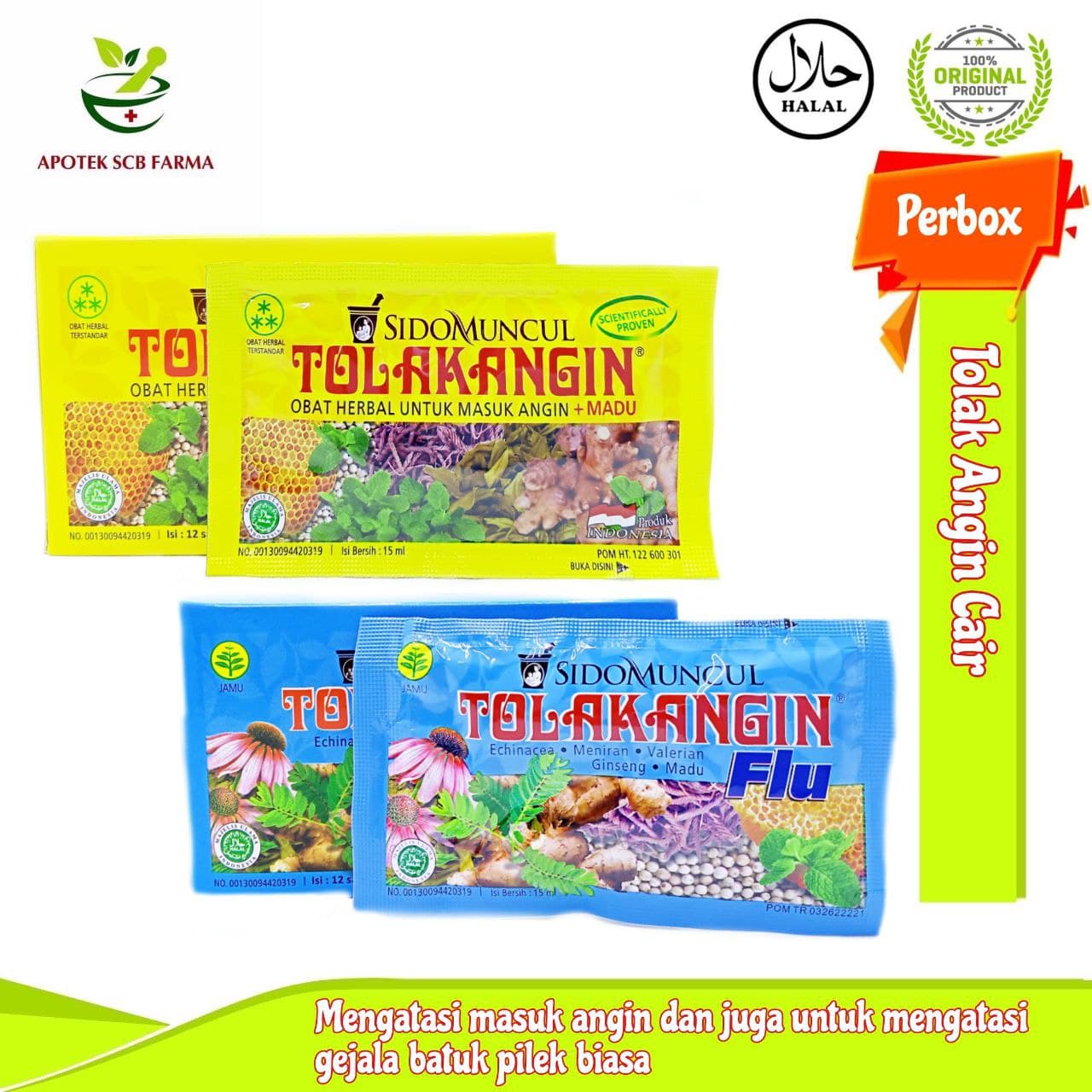 Tolak Angin 1 Box - Obat Masuk Angin dan Flu All Varian | Lazada Indonesia