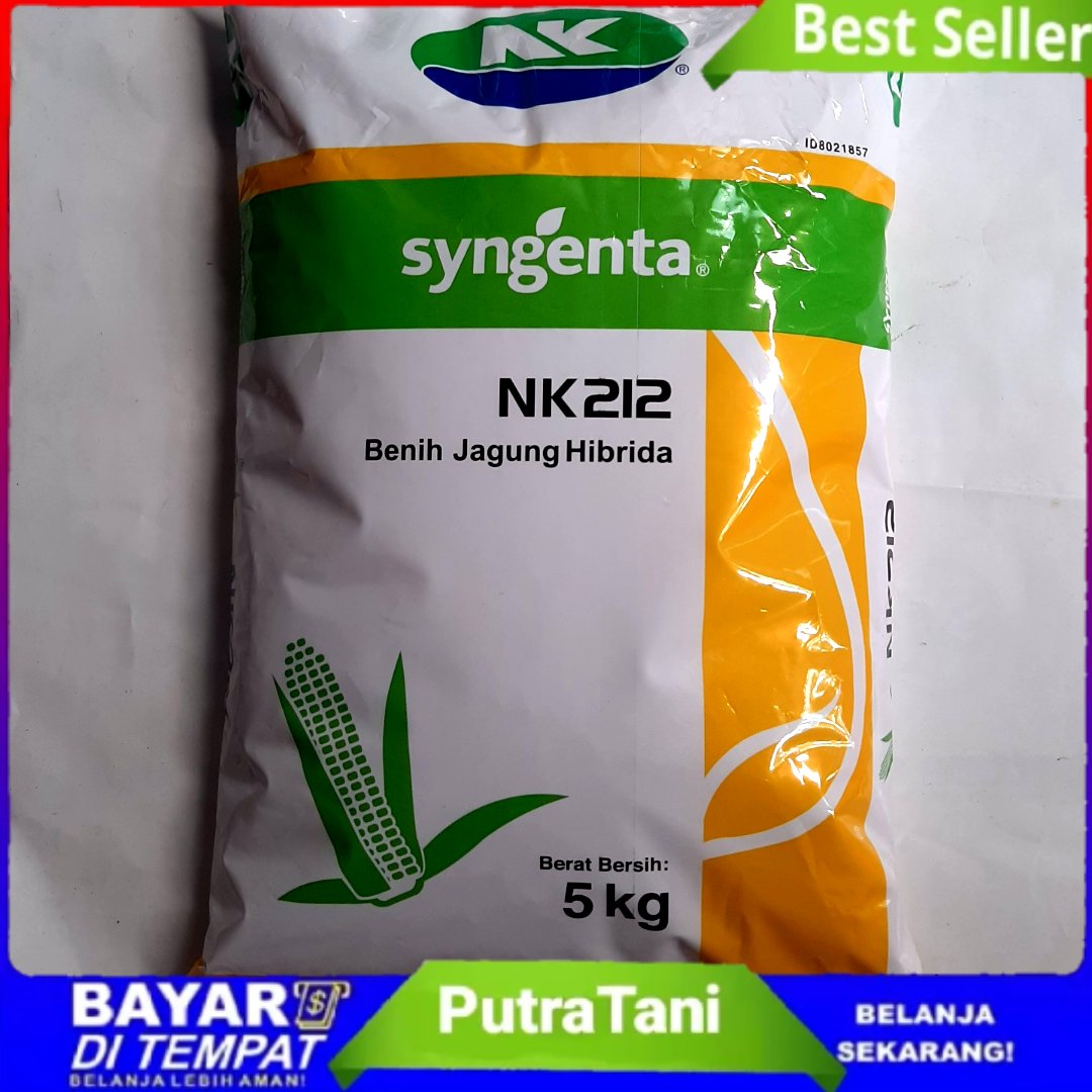 Benih Jagung Hibrida Syngenta NK 212 Isi 5 Kg | Lazada Indonesia