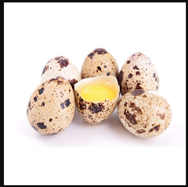 7 Butir Telur Puyuh Rebus Matang | Lazada Indonesia