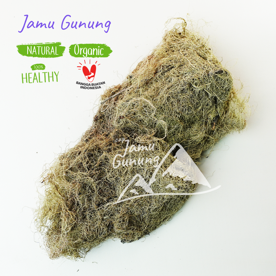 Akar atau Kayu Angin Kering 50gr (Usnea spp)- Higienis | Lazada Indonesia