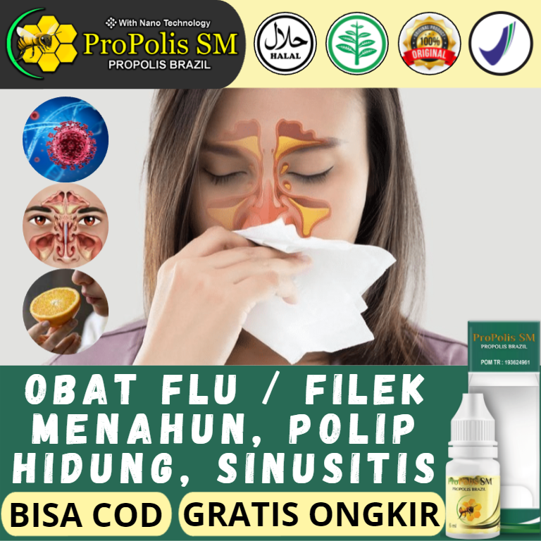 Obat Alami Flu Batuk Dan Meriang Untuk Dewasa Pilek Menahun Hidung ...