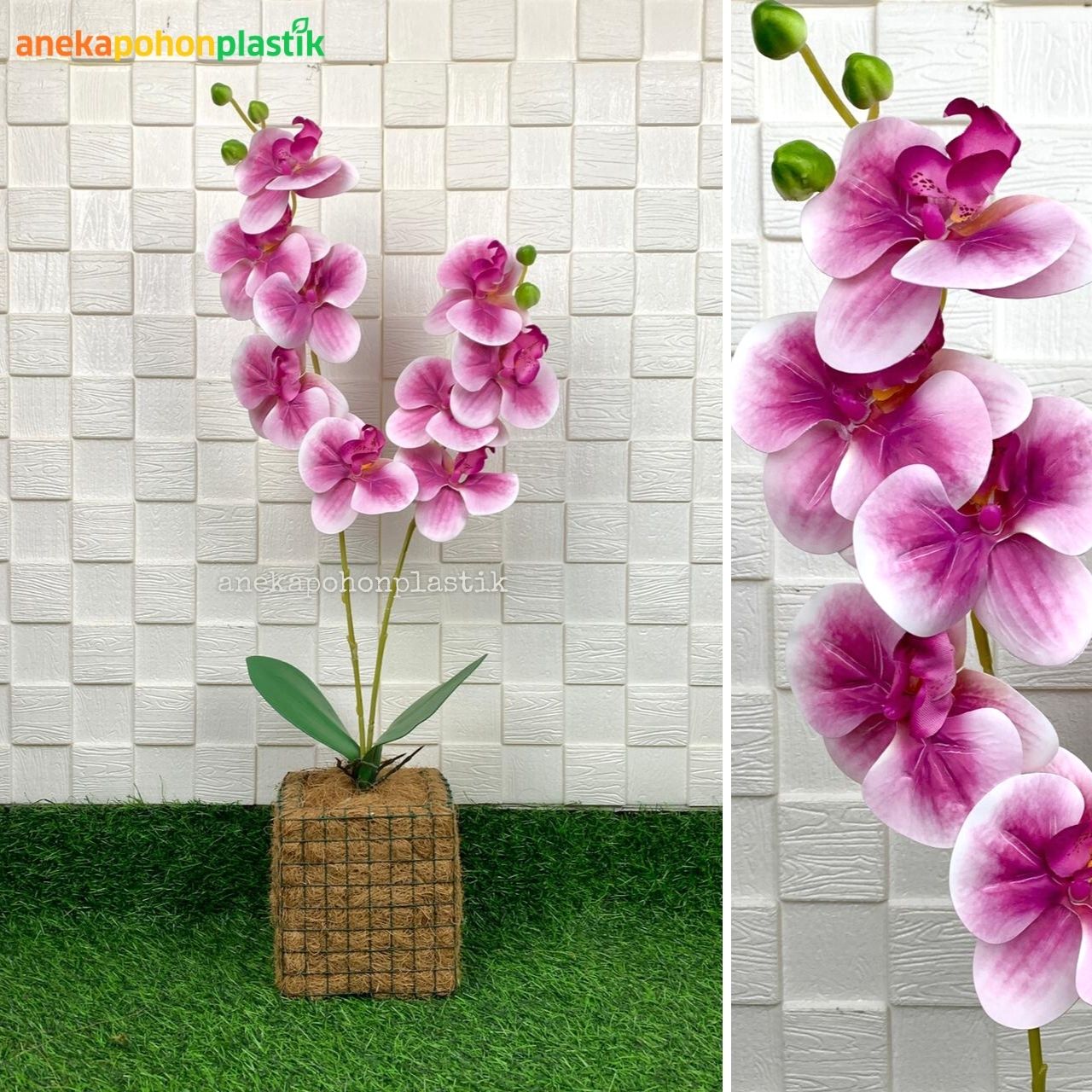 Bunga Anggrek Bulan X2 Artificial Latex Vas Sabut Kelapa Tanaman Hias ...