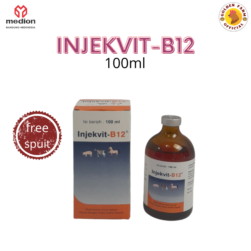 INJEKVIT B12 100 ml free spuit 3cc - Obat B 12 Untuk Perbaiki Kondisi ...