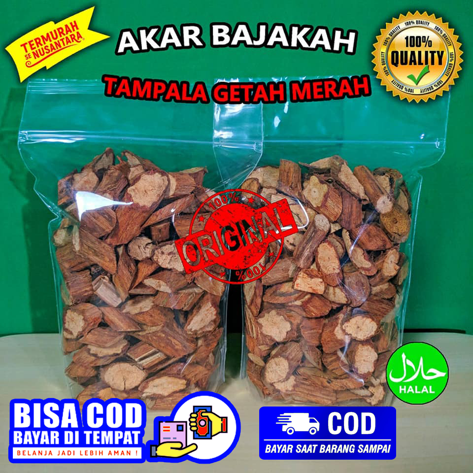 Akar Bajakah Tampala Getah Merah 1kg | Lazada Indonesia