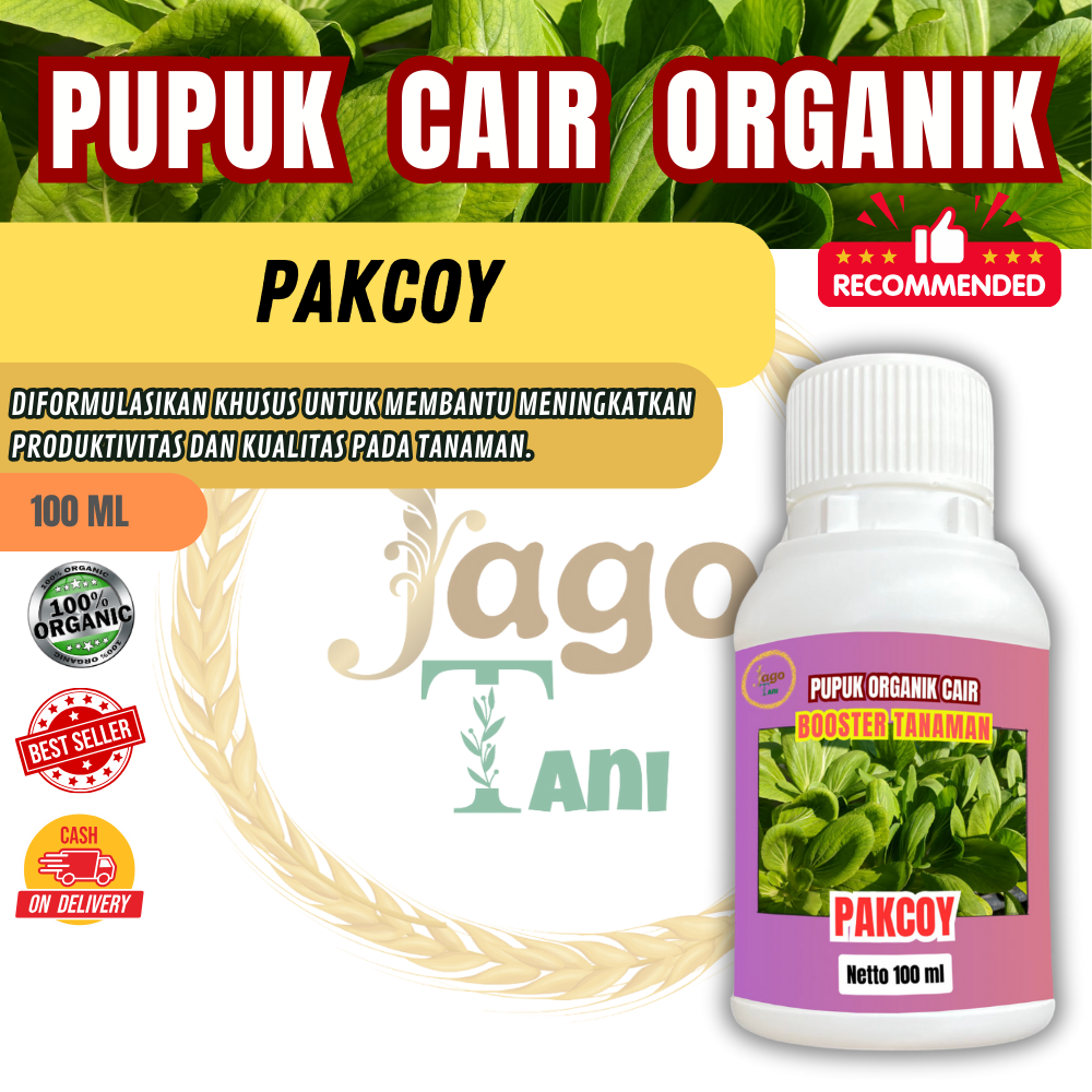 Pupuk Pakcoy Organik Terbukti Ampuh Melebatkan Daun Pakcoy Jadi Gemuk ...