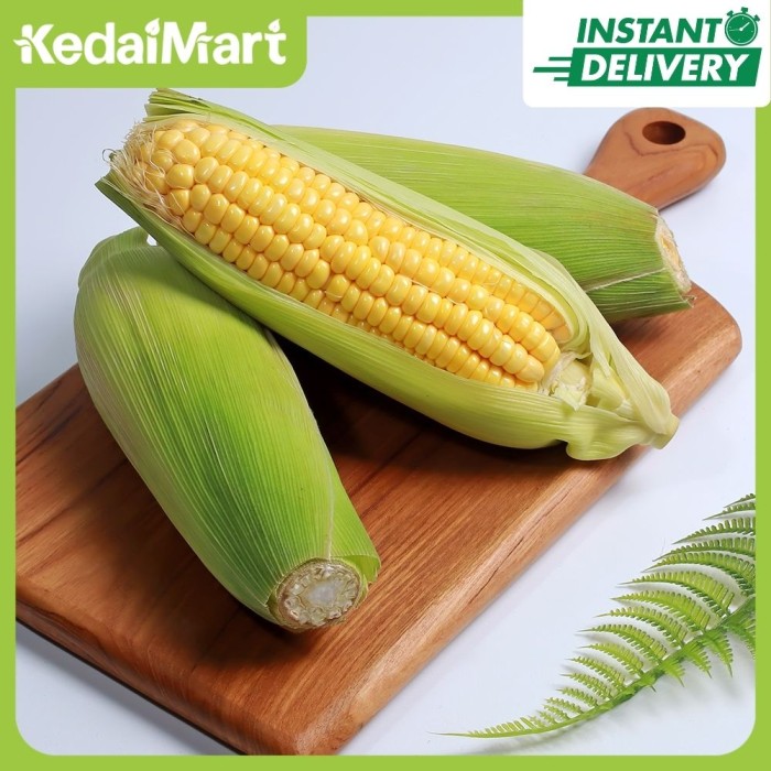 Jagung Manis 1 Kg | Lazada Indonesia