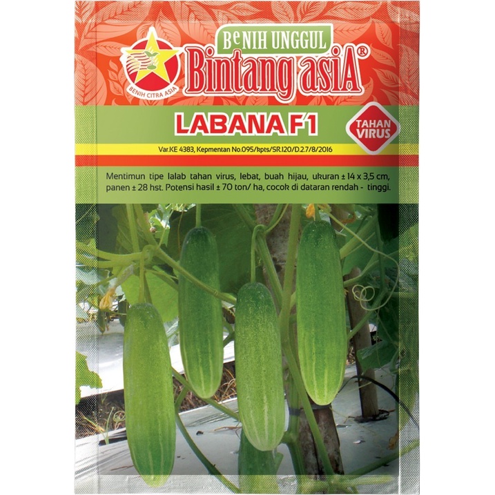 Benih Mentimun Timun LABANA F1 10 Gram Cap Bintang Asia PT Benih Citra ...