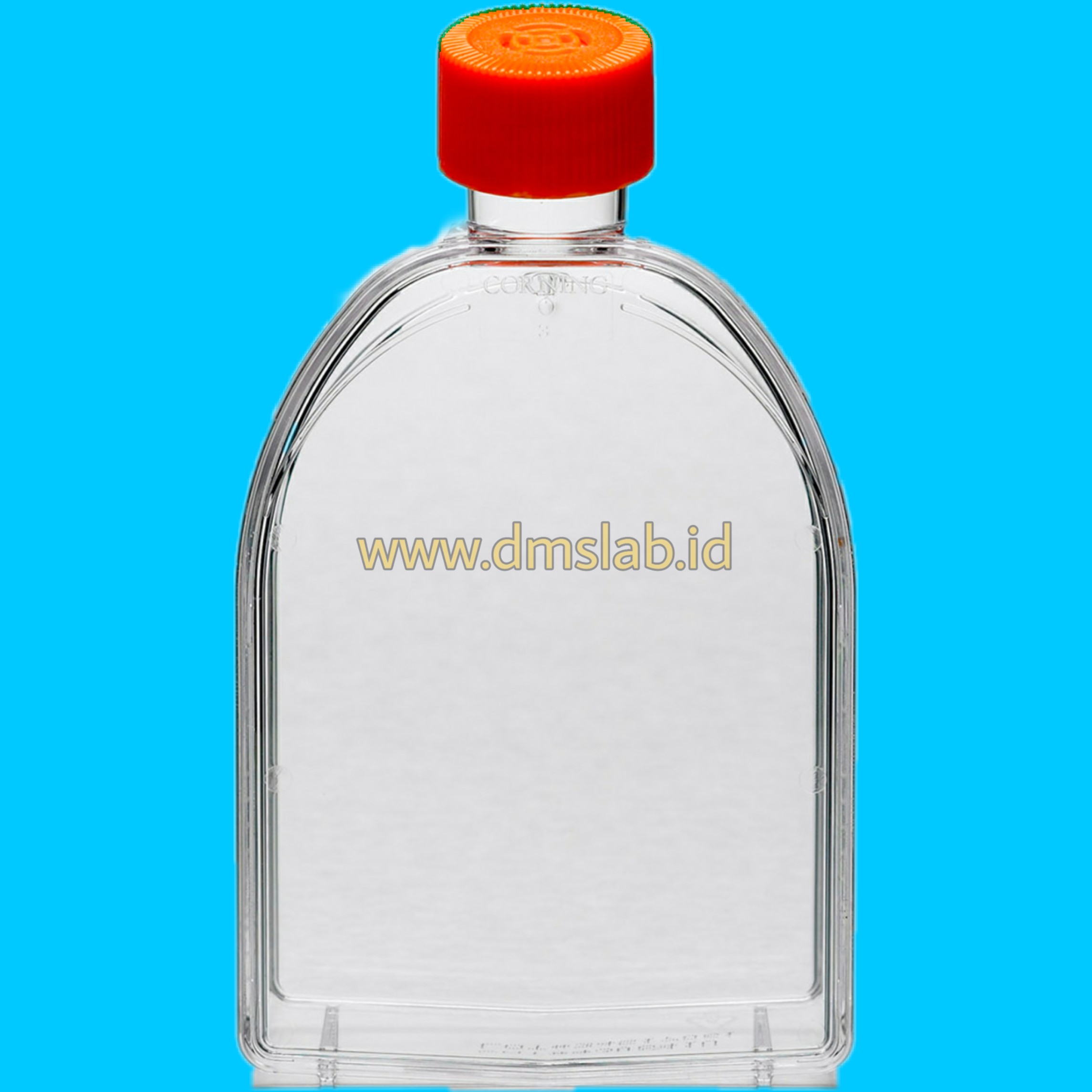 Cell Culture Flask, TC Flask 75cm2 | Lazada Indonesia