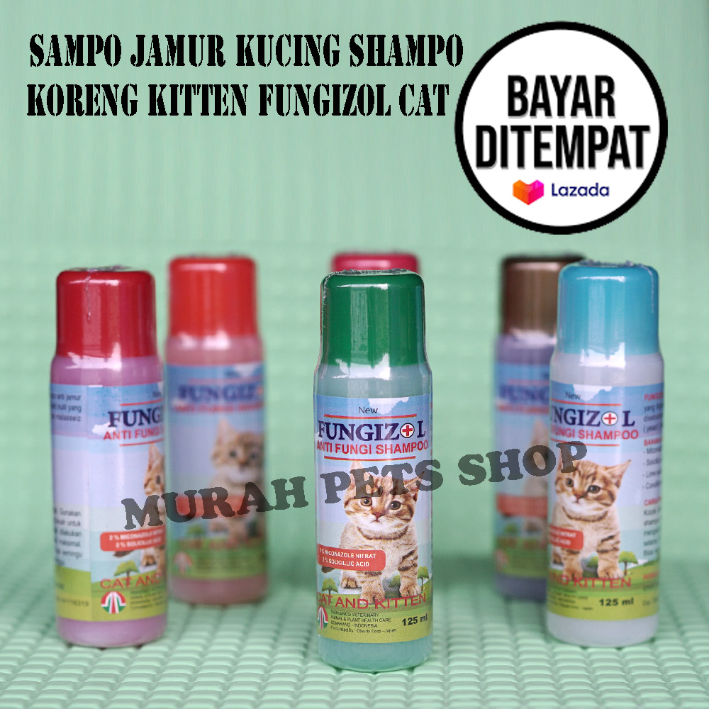 Sampo Kucing Anti Jamur Scabies Koreng Kucing Kitten - Fungizol ...