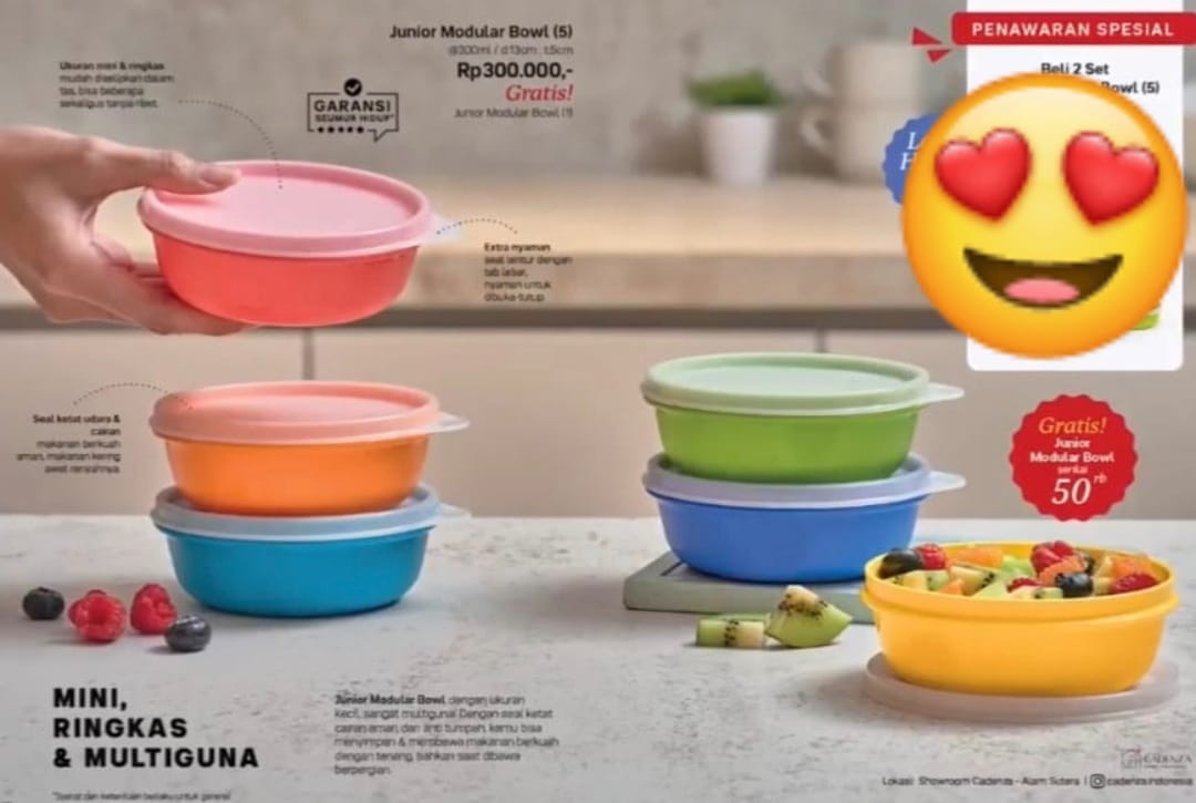 TUPPERWARE JUNIOR MODULAR BOWL 6PCS UKURAN 300ML | Lazada Indonesia
