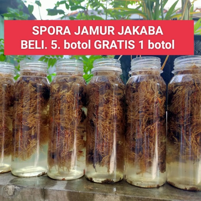 Jamur Jakaba Jamur Keberuntungan Abadi Pupuk Organik | Lazada Indonesia