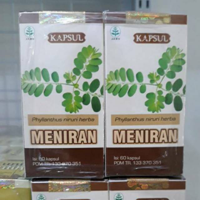 Kapsul Ekstrak Meniran Tazakka ISI 60 Kapsul | Lazada Indonesia