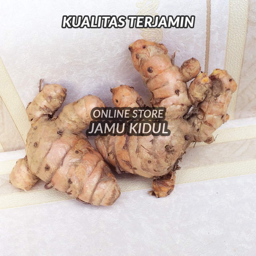 TEMU LAWAK 1 KG SEGAR atau TEMULAWAK | Lazada Indonesia