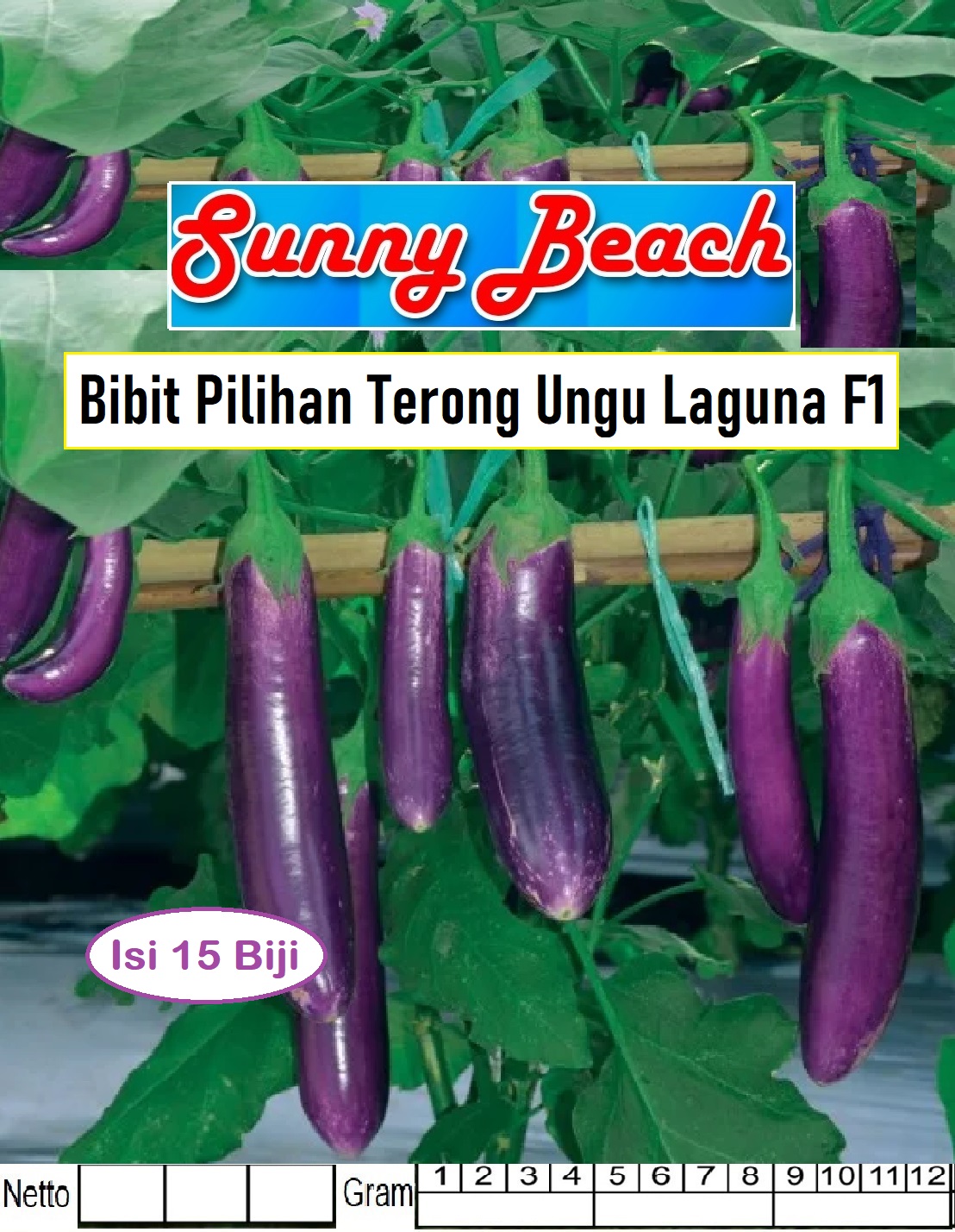 Bibit Pilihan Terong Ungu Laguna F1|Benih Terong Laguna Ungu Panjang | Lazada Indonesia