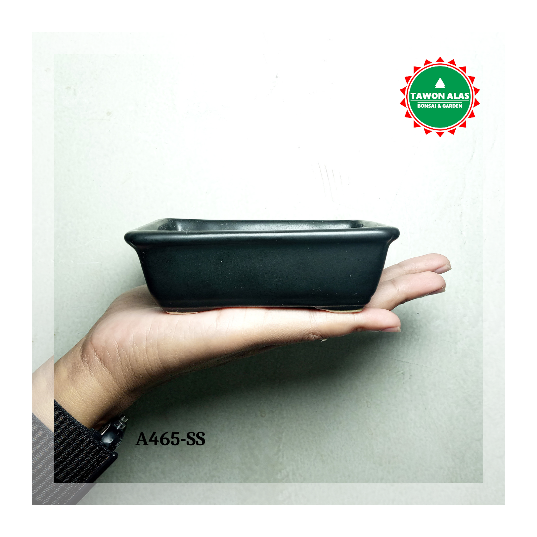 Pot Bonsai Keramik Mame Mini Kecil Segi Empat Persegi Panjang no Semen | Lazada Indonesia