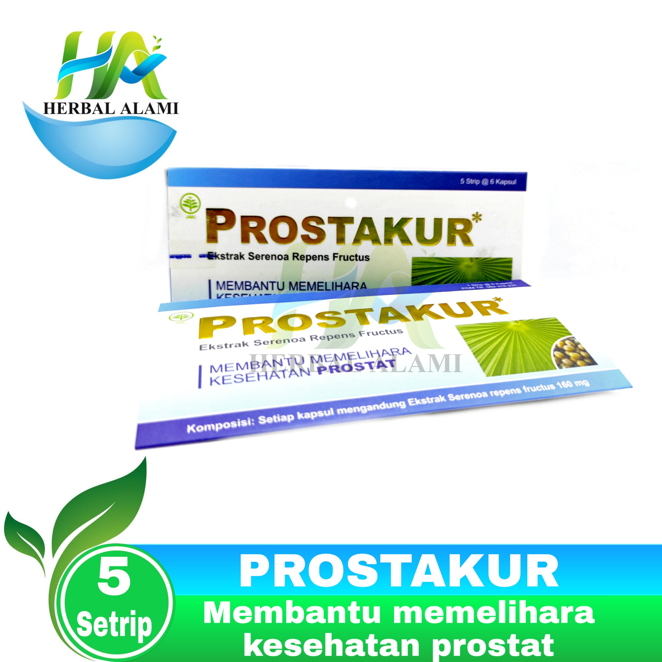Prostakur PerBox - Membantu Memelihara Kesehatan Prostat | Lazada Indonesia