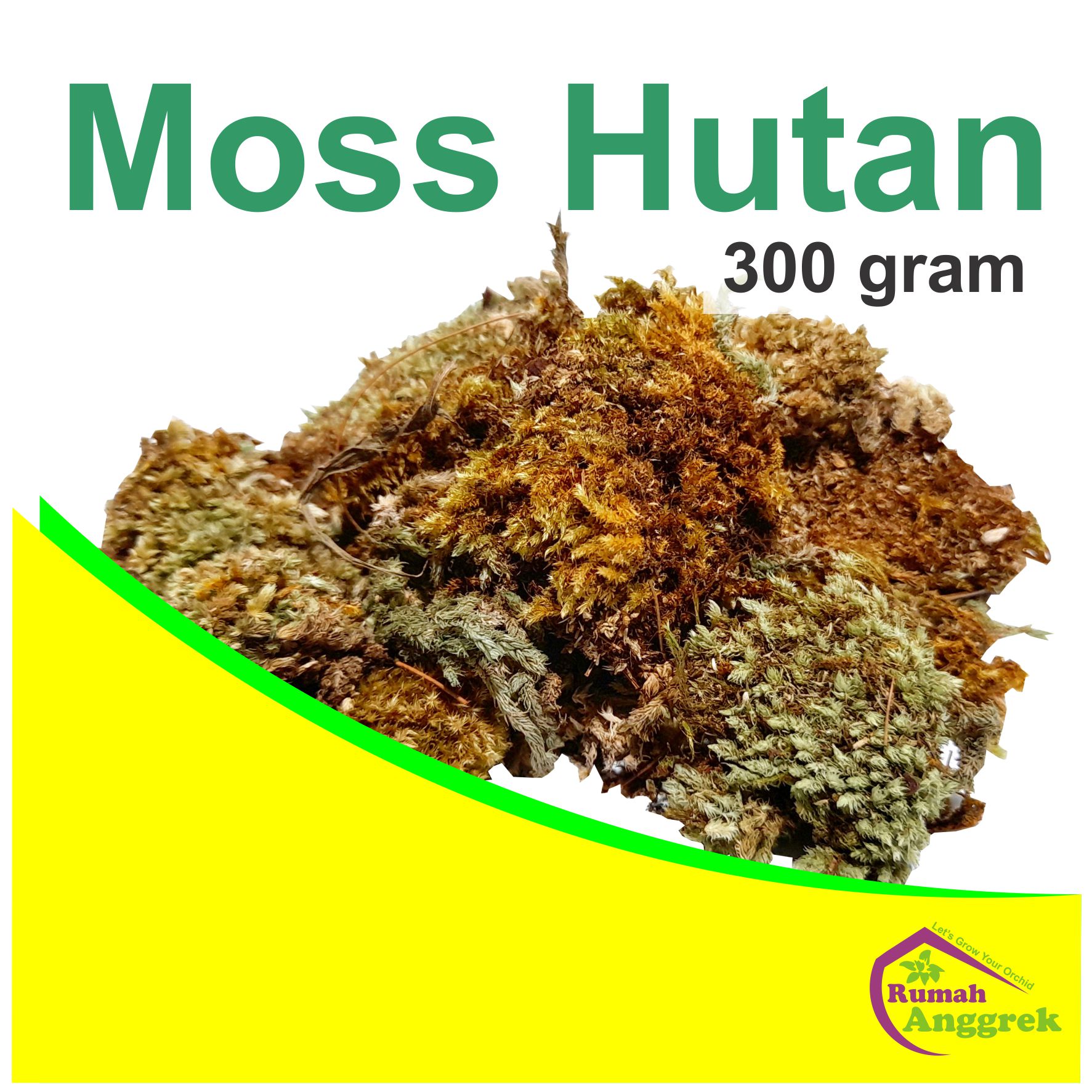 Media Moss Hutan 300 gram spagnum spaghnum sphagnum putih lumut hijau ...