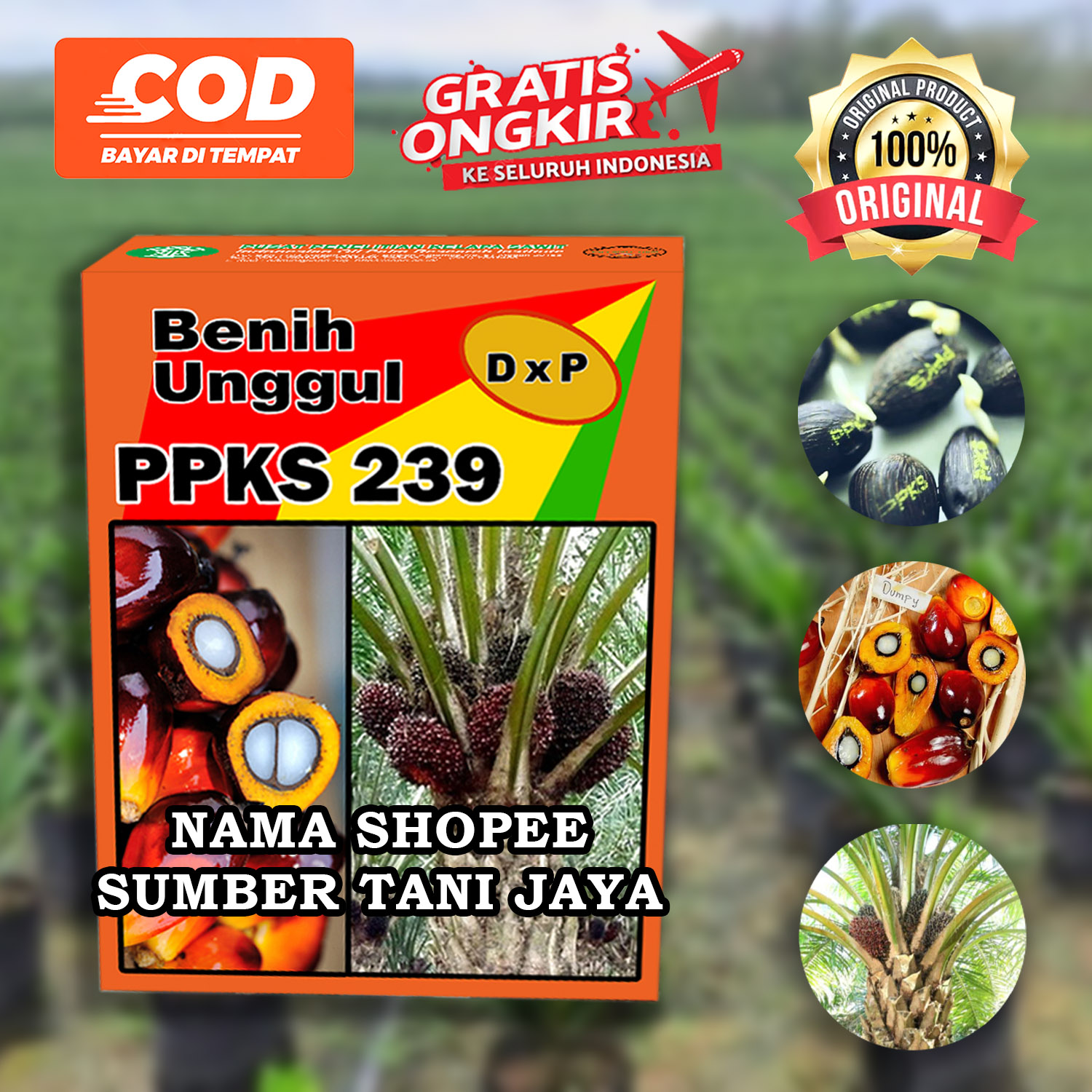 PPKS DXP 239 SUPER UNGGUL DAPAT SERTIFIKAT DAN BONUS | Lazada Indonesia