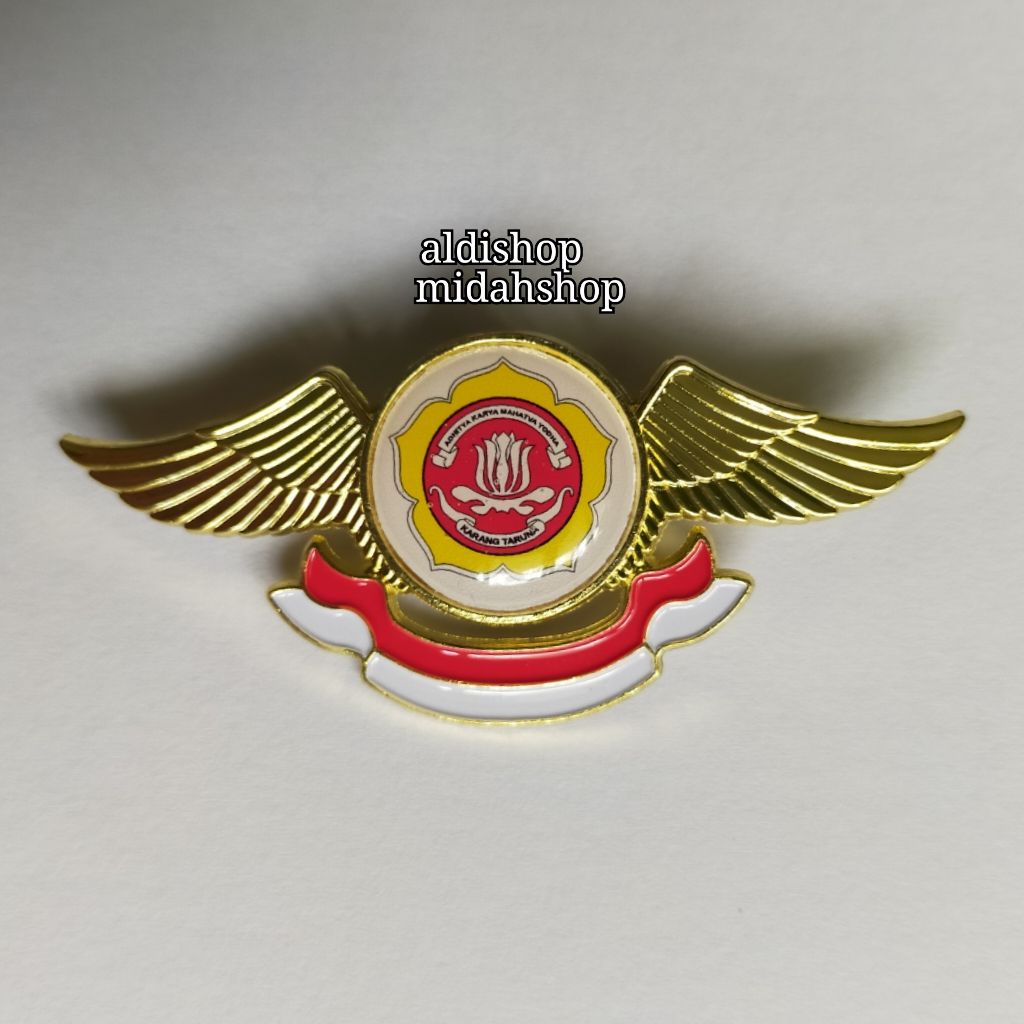 Pin KARANG TARUNA wings | Lazada Indonesia