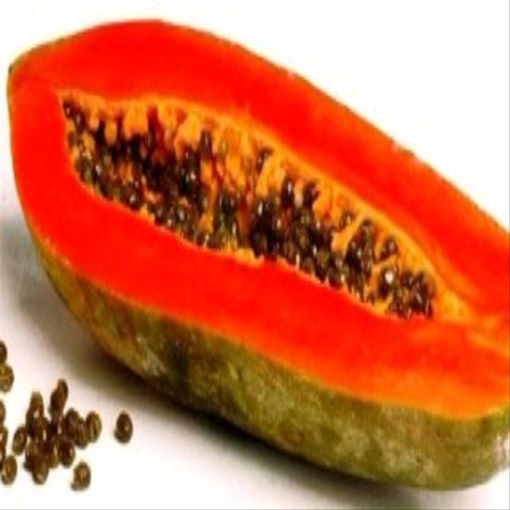 Isi 25 biji pepaya jingga unggul Seeds/benih biji | Lazada Indonesia