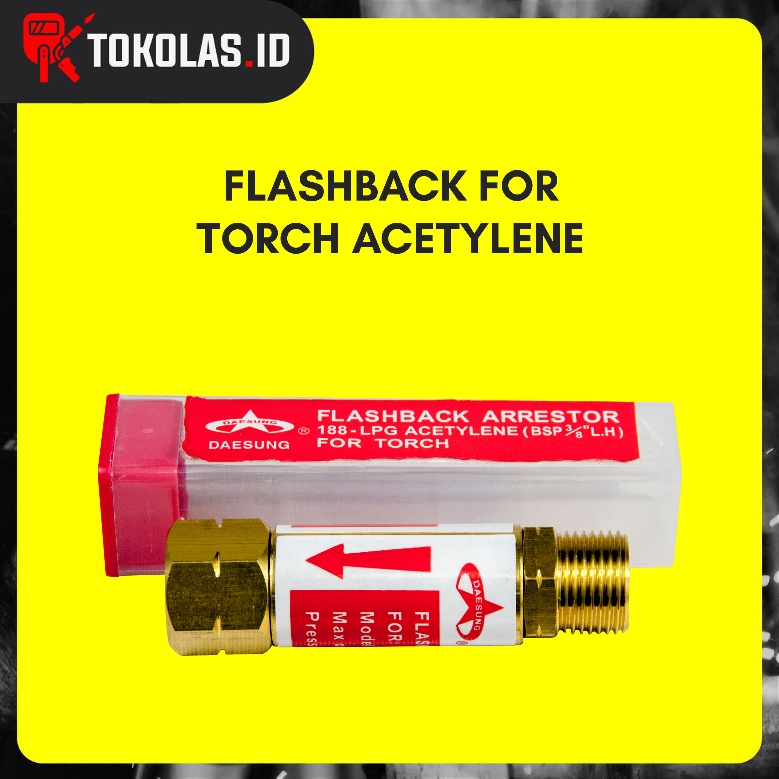 Flash Back Flashback Arrestor for Torch Acetylene LPG Daesung | Lazada ...