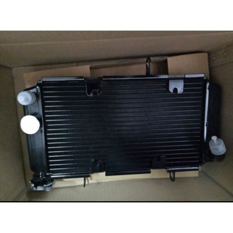 radiator Assy radiator ninja 250 mono z250 SL original Kawasaki ...