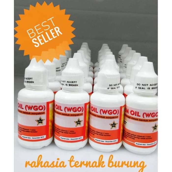WGO / WHEAT GERM OIL a.k.a Minyak Gandum Bagus Buat Ternak Burung ...