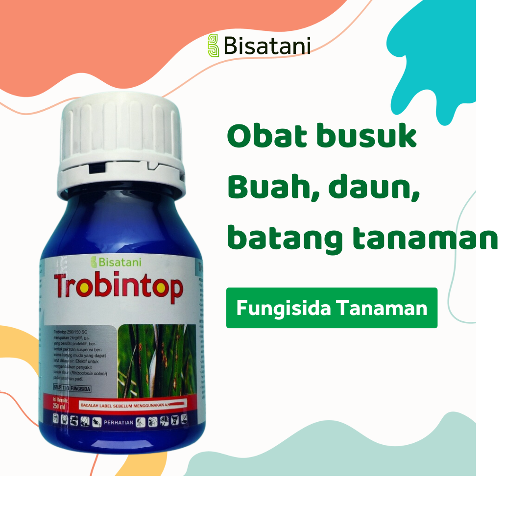 Obat Busuk Buah Cabe Terong Tomat Durian Mangga Jeruk Apel TROBINTOP ...