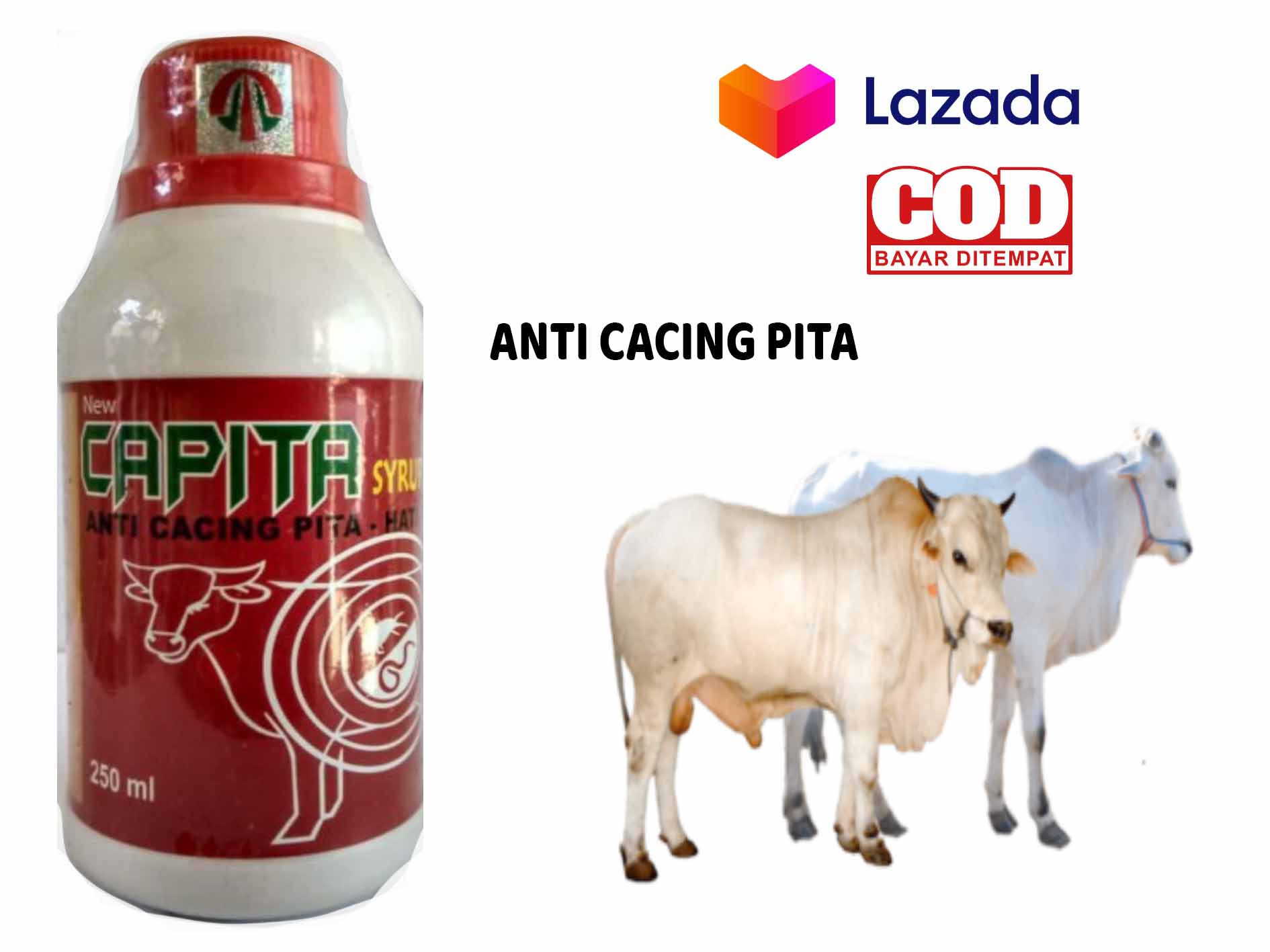 Obat Cacing Pita Pada Sapi, Kerbau, Kambing, Domba - CAPITA Syrup 250ml ...