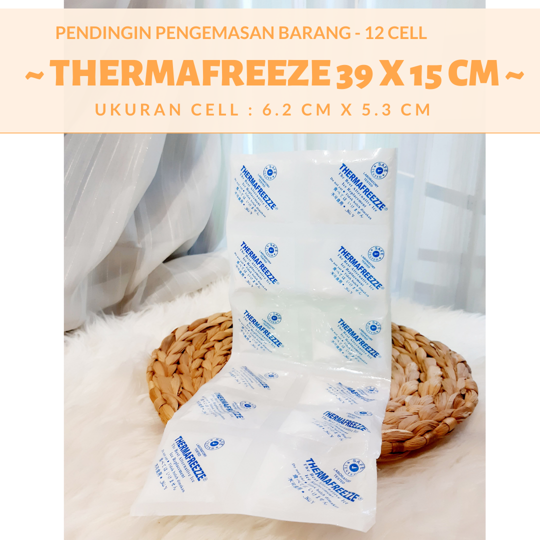 DRY ICE BIANG ES-COOL BOX ES BATU - COOLER BOX | Lazada Indonesia