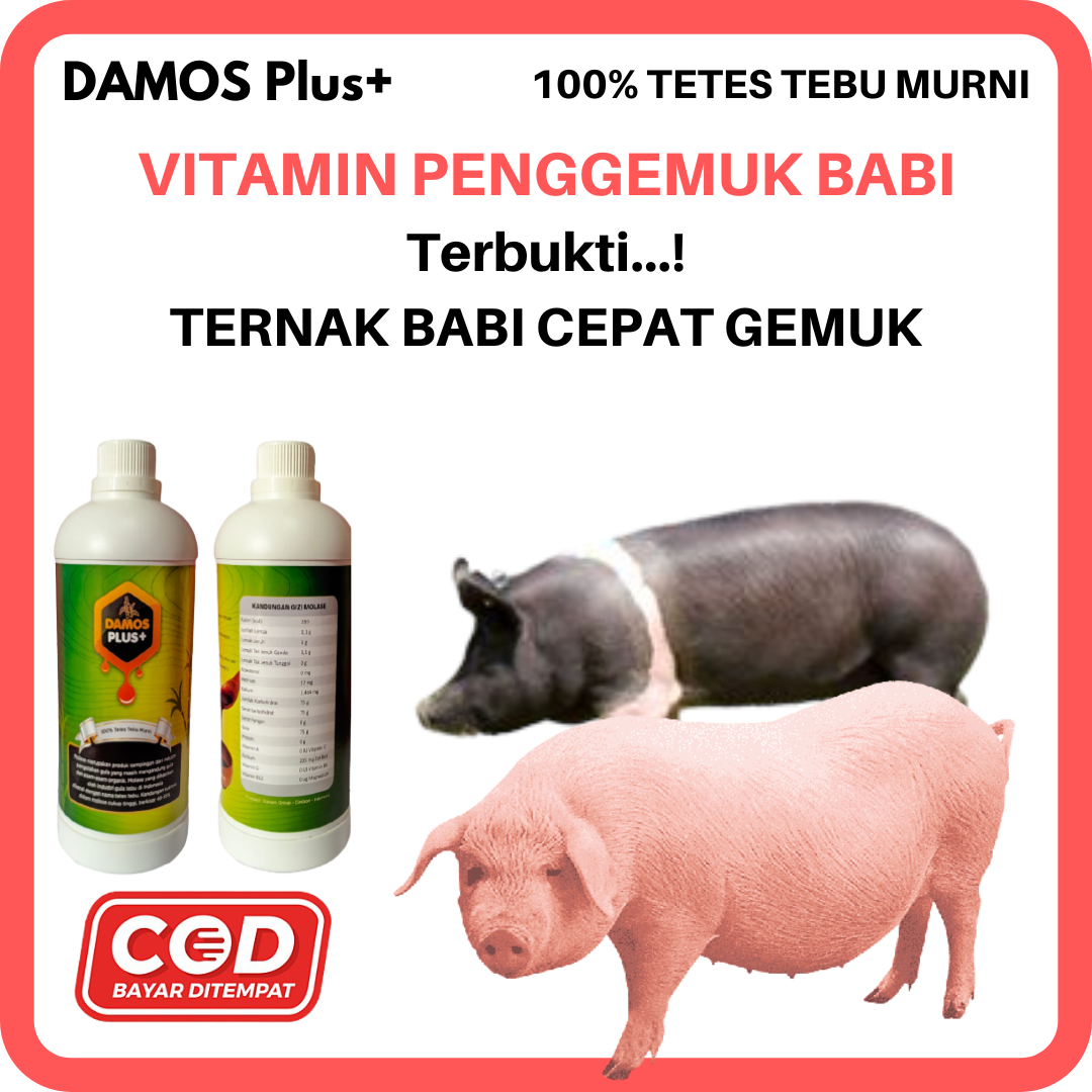 Vitamin Babi Cepat Besar Damos Plus Tetes Tebu Murni Obat Penggemuk ...