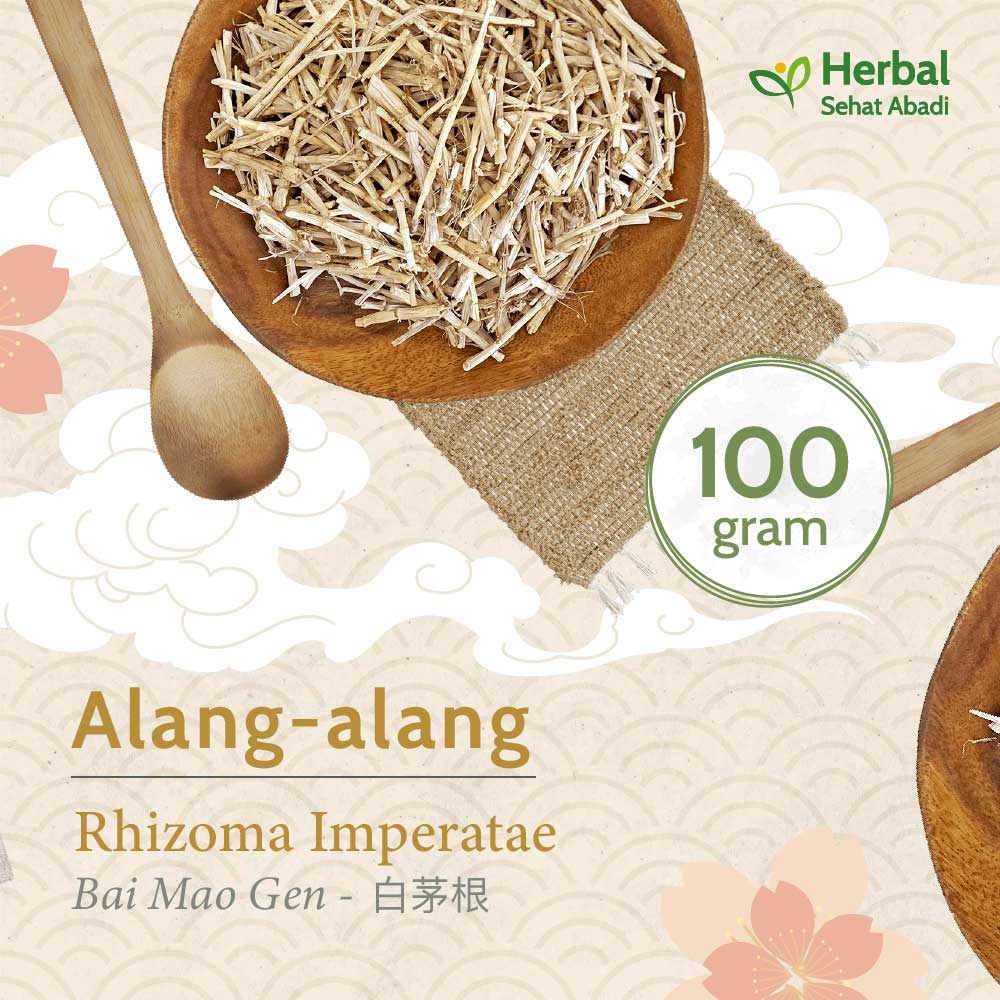 Alang Alang 100 gram / Bai Mao Gen (茅根) | Lazada Indonesia