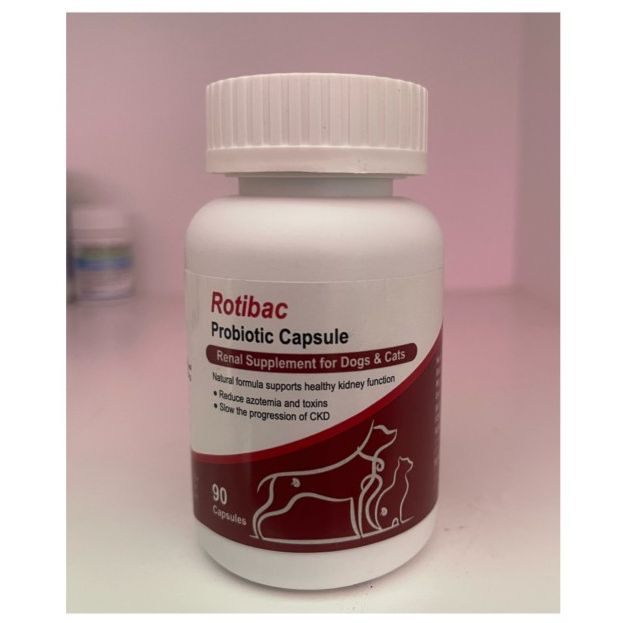 Rotibac Probiotic Capsule Renal Suplemen dog/ cat / capsul | Lazada ...