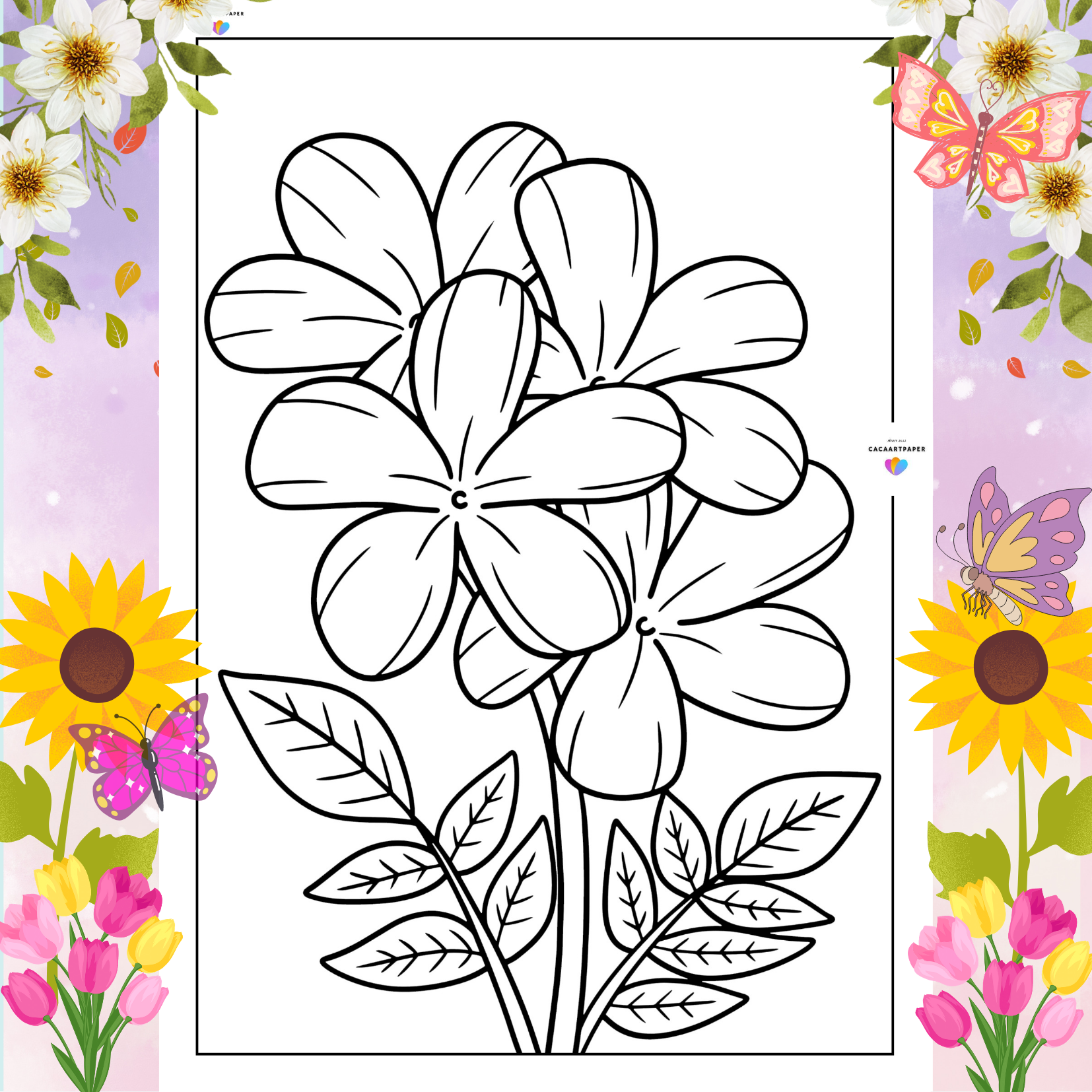 KERTAS MEWARNAI / KERTAS GAMBAR / BUNGA & TUMBUHAN / PART2 / KERTAS ...