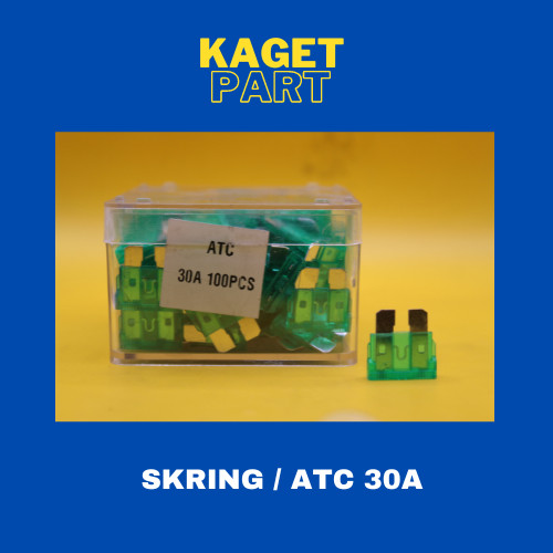 SKRING MOTOR / FUSE MOTOR 30A | Lazada Indonesia