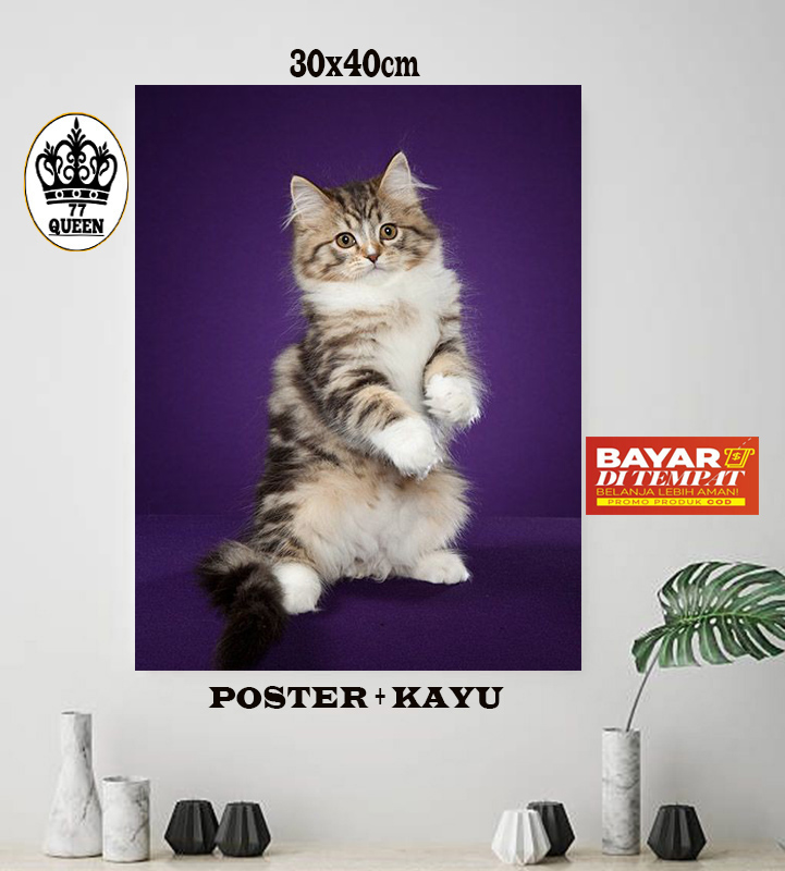 POSTER KAYU GAMBAR KUCING/HIASAN DINDING GAMBAR KUCING/POSTER GAMBAR ...