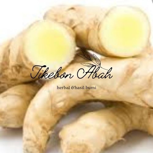 1 kg Temu putih /temulawak putih , temu putih ( zedoaria ) fresh ...