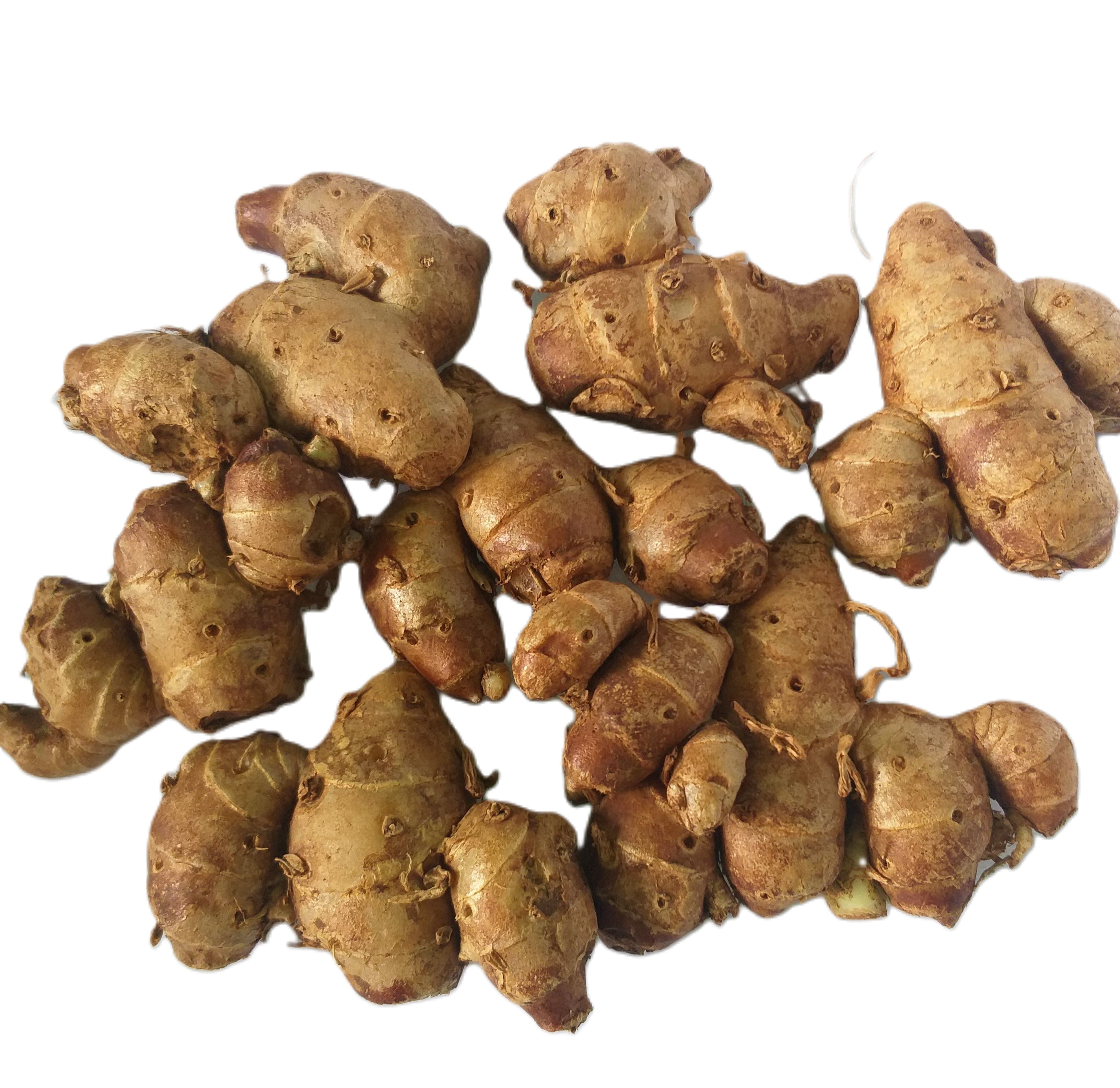 kencur asli berkualitas 1 kg | Lazada Indonesia