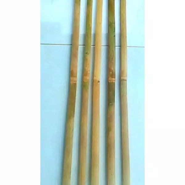 6 Batang Bilahan Bambu Untuk Ajir Tanaman Panjang 1 Meter | Lazada ...
